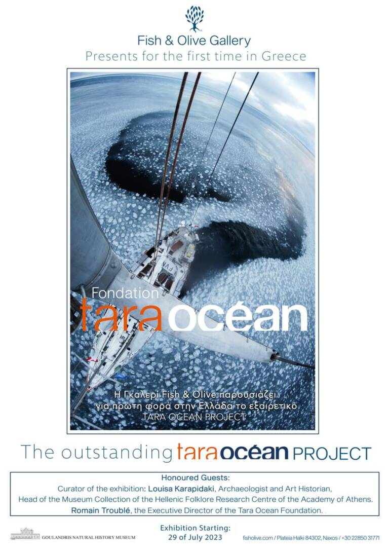 Tara Ocean Project exhibition - Ongoing Event - Fish & Olive Gallery